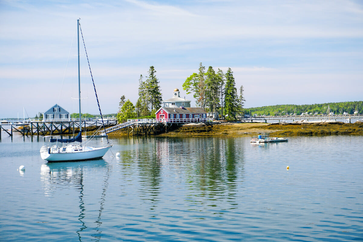 Boothbay puffin cruise | Mattgrangerphotography.com